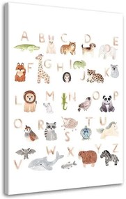 Obraz na plátně Dětská abeceda Zvířata Barevné - 60x90 cm