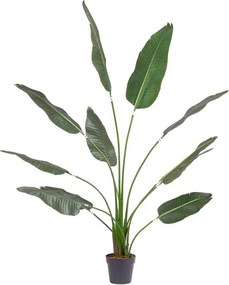 Exteriérová umělá rostlina Strelitzia