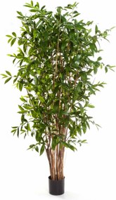 Dracaena Surculosa umělá V 90 cm