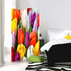 Ozdobný paraván Barevné tulipány Květiny - 110x170 cm, třídílný, obustranný paraván 360°