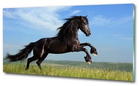 Wallmuralia Moderní skleněný obraz z fotografie Černý kůň na louce 100x50