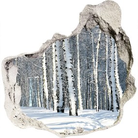 Wallmuralia Samolepící díra na stěnu nálepka Les zima 75x75 cm