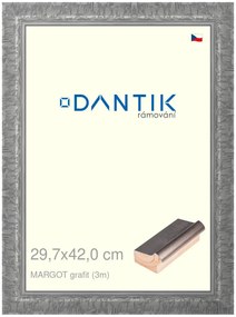 DANTIK rámeček 29,7x42 | MARGOT grafit (Plexi Čiré)