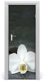 Fototapeta na dveře Orchidej 95x205 cm