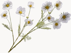 Sada umělých květin Cosmos, 2 díly