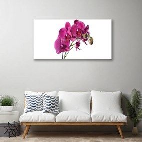 Obraz na plátně Orchidej Květiny Příroda 120x60 cm