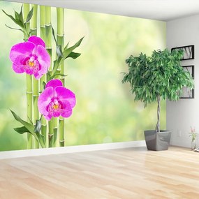 Fototapeta Orchidej a bambus 104x70