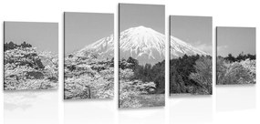 5-dílný obraz hora Fuji v černobílém provedení Varianta: 200x100