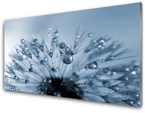 Obraz na skle Pampeliška Květ Kapky 140x70 cm
