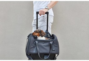 Náhradní podložka pro Cestovní tašku pro psy MiaCara Volata Airline 41 x 27,5 x 2,5 cm Velikost: SM -55 x 32 x 2,5 cm