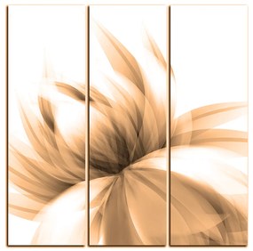 Obraz na plátně - Elegantní květ - čtverec 3147FB (105x105 cm)