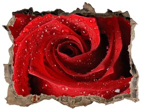 Wallmuralia Samolepící nálepka na zeď Kapky na růži 95x64 cm