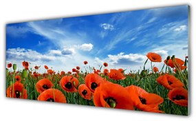 Plexisklo-obraz Louka Máky Květiny 125x50 cm