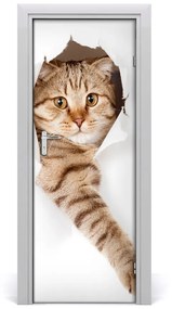 Samolepící fototapeta na dveře Kočka 85x205 cm