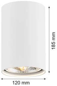 Argon 4910 - Bodové svítidlo TUBO AR111 1xGU10/15W/230V bílá