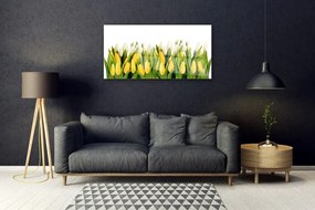 Obraz na skle Tulipány Květiny Rostlina 120x60 cm