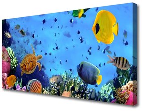 Obraz na plátně Korálový Útes Ryba Příroda 125x50 cm