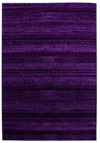 Kusový koberec Plus 8000 lila 120 x 170 cm