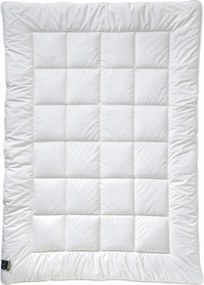 XXXLutz CELOROČNÍ PŘIKRÝVKA, 135/200 cm, polyester Billerbeck - Přikrývky - 003279053701