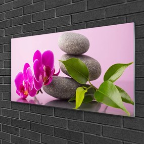 Obraz na skle Květ Kameny Zen Rostlina 125x50 cm