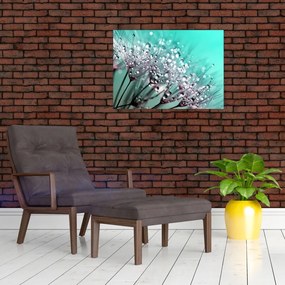 Skleněný obraz - orosená rostlina (70x50 cm)