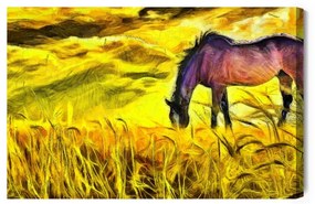 Obraz Malovaný Kůň V Poli Nedostatek Nedostatek Přírodní plátno 100x70