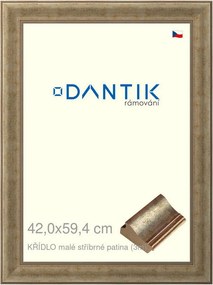 DANTIK rámeček 42x59,4 | KŘÍDLO malé stříbrné patina (Plexi Čiré)