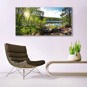 Plexisklo-obraz Les Stromy Jezero Příroda 120x60 cm