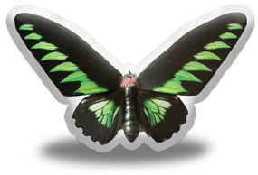 Sablio 3D polštář ve tvaru Motýl