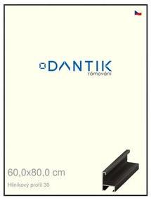 DANTIK rámeček 60x80 | ALU profil 6030 Černá matná (Plexi Čiré)
