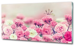 Wallmuralia Moderní skleněný obraz z fotografie Květy divoké růže 100x50