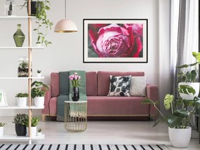Plakát Růžová geometrie - kompozice s intenzivně růžovými okvětními lístky růže