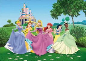 Vliesová fototapeta na Louce Před Zámkem, Disney Princezny | 360 x 270 cm | DFTDNXXL5003