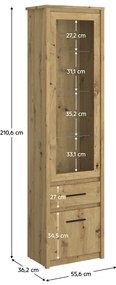 Kondela Vitrína 1D1W1S, dub artisan, AIRON