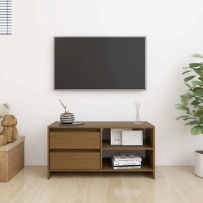 vidaXL TV stolek 80 x 31 x 39 cm masivní borové dřevo [809897] Barva: Šedá