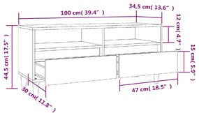 TV skříňka šedá sonoma 100 x 34,5 x 44,5 cm kompozitní dřevo - Default Title