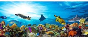 DIMEX | Panoramatická vliesová fototapeta na zeď Ryby v oceánu MP-2-0216  | 375 x 150 cm | modrá, vícebarevná