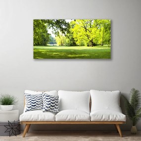 Obraz na plátně Tráva Stromy Park Příroda 140x70 cm