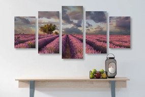 5-dílný obraz země levandulových polí - 100x50 cm