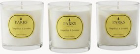 Sada ručně vyrobených vonných svíček Vintage Aromatherapy (grep, jasmín a bílé pižmo), 3 díly