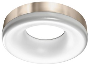 LED stropní svítidlo Ring Led 3000K Sn