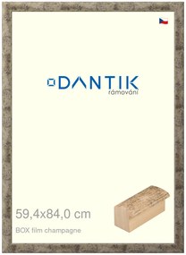 DANTIK rámeček 59,4x84 | BOX film champagne (Plexi Čiré)