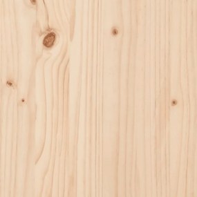 Petromila Zahradní úložný box 115 x 49 x 60 cm masivní borové dřevo
