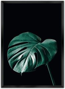 Plakát Dark Monstera