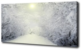 Wallmuralia Foto obraz na plátně Hezký zimní les 100x50