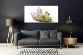 akrylový obraz Houby Rostlina Příroda 120x60 cm
