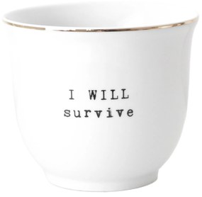 Bella Rose Porcelánový obal na květináč I will survive 10 cm, bílá barva, zlatá barva, porcelán