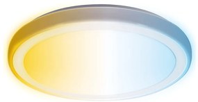 Aigostar - LED Koupelnové stropní svítidlo LED/24W/230V IP44 + dálkové ovládání