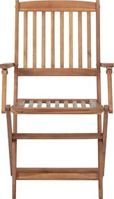 vidaXL Skládací zahradní židle 4 ks masivní akáciové dřevo [313602]
