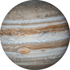 XXXLutz FOTOTAPETA velikost: 125 cm Komar - Online Only tapety - 003492086717